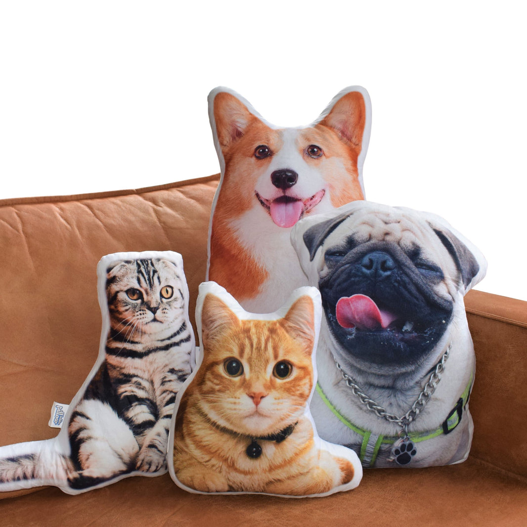 Alle Huisdier Kussens – PillowBuddies